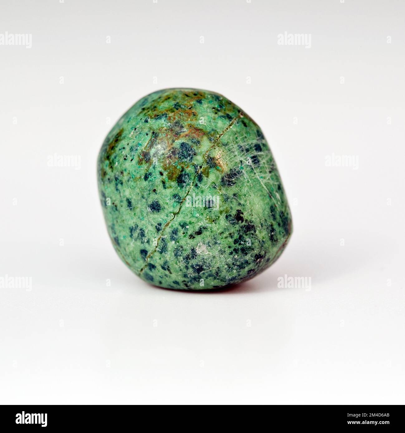 Macro close up colour photograph of 'African Turquoise' a form of ...