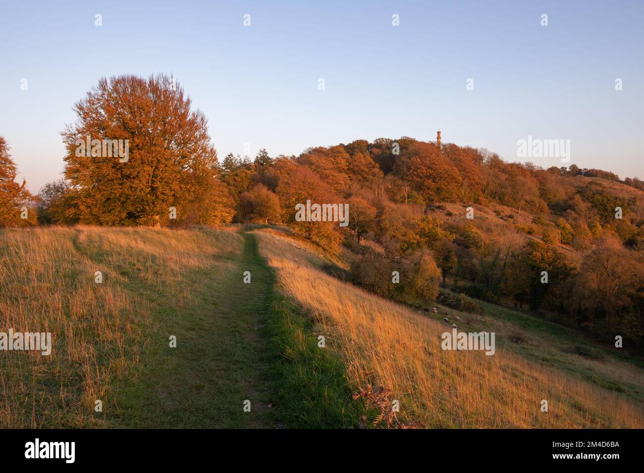 Landscape photo of the autumn colours at dusk at the Admiral Hood ...