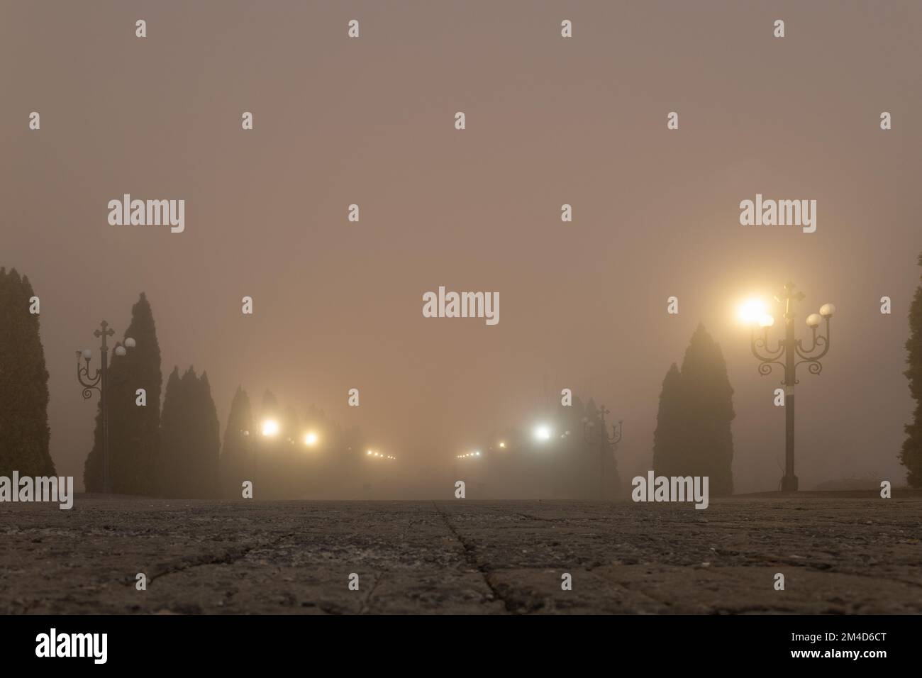 Walking path to unknown direction on a foggy evening, shot from the ...