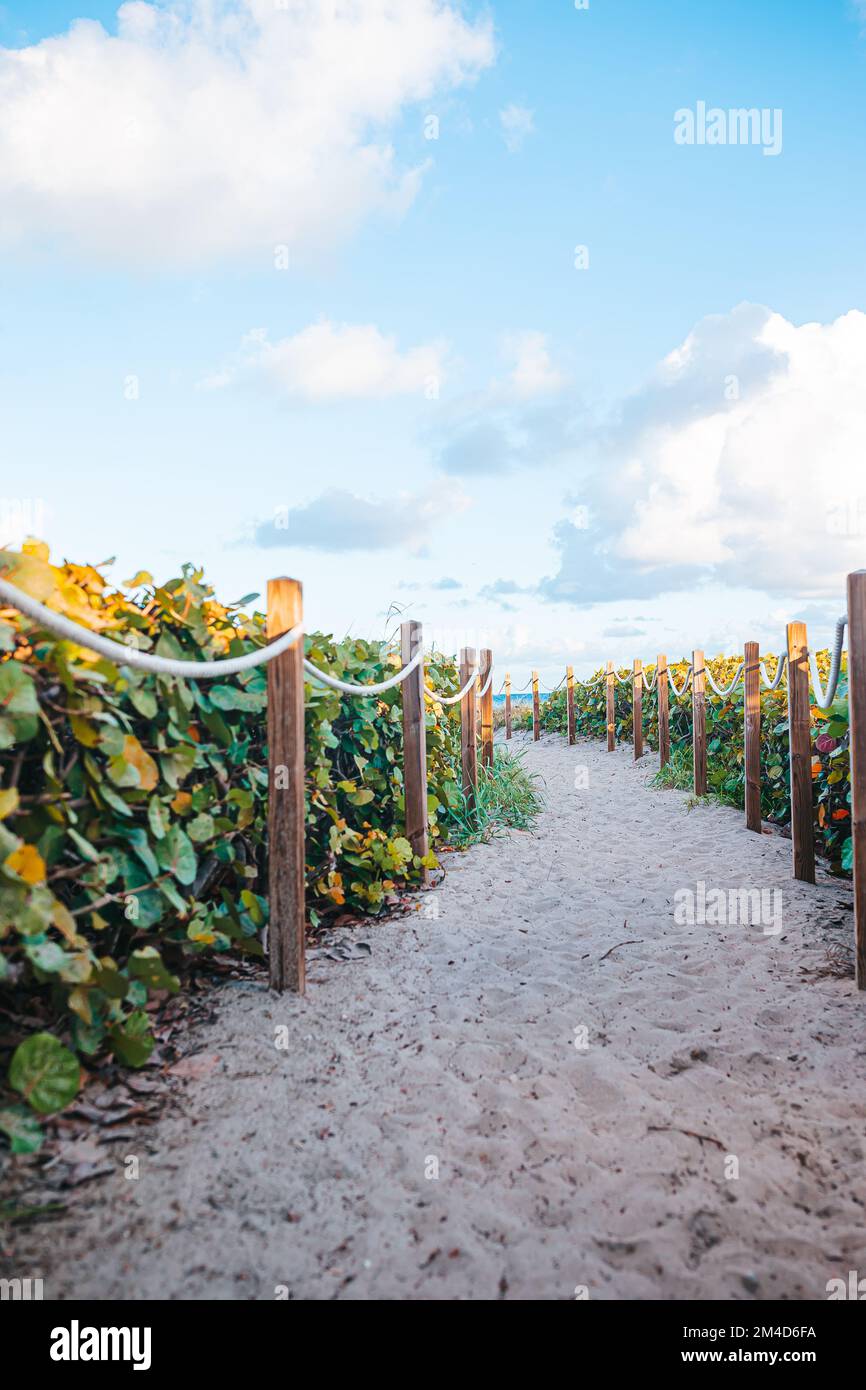 Sand trail to the beach in Florida Stock Photo - Alamy