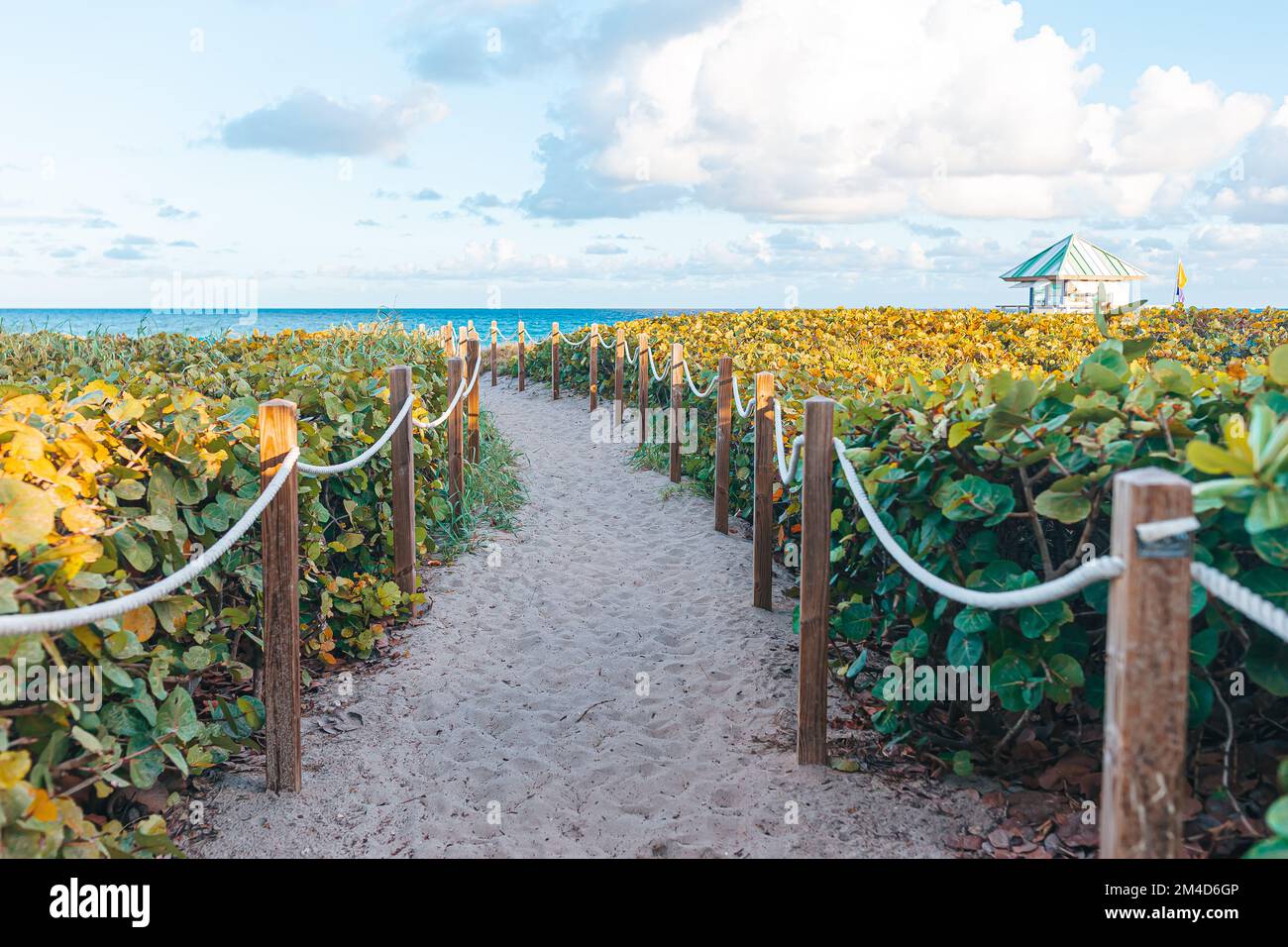The palm beach lake trail hi-res stock photography and images - Alamy