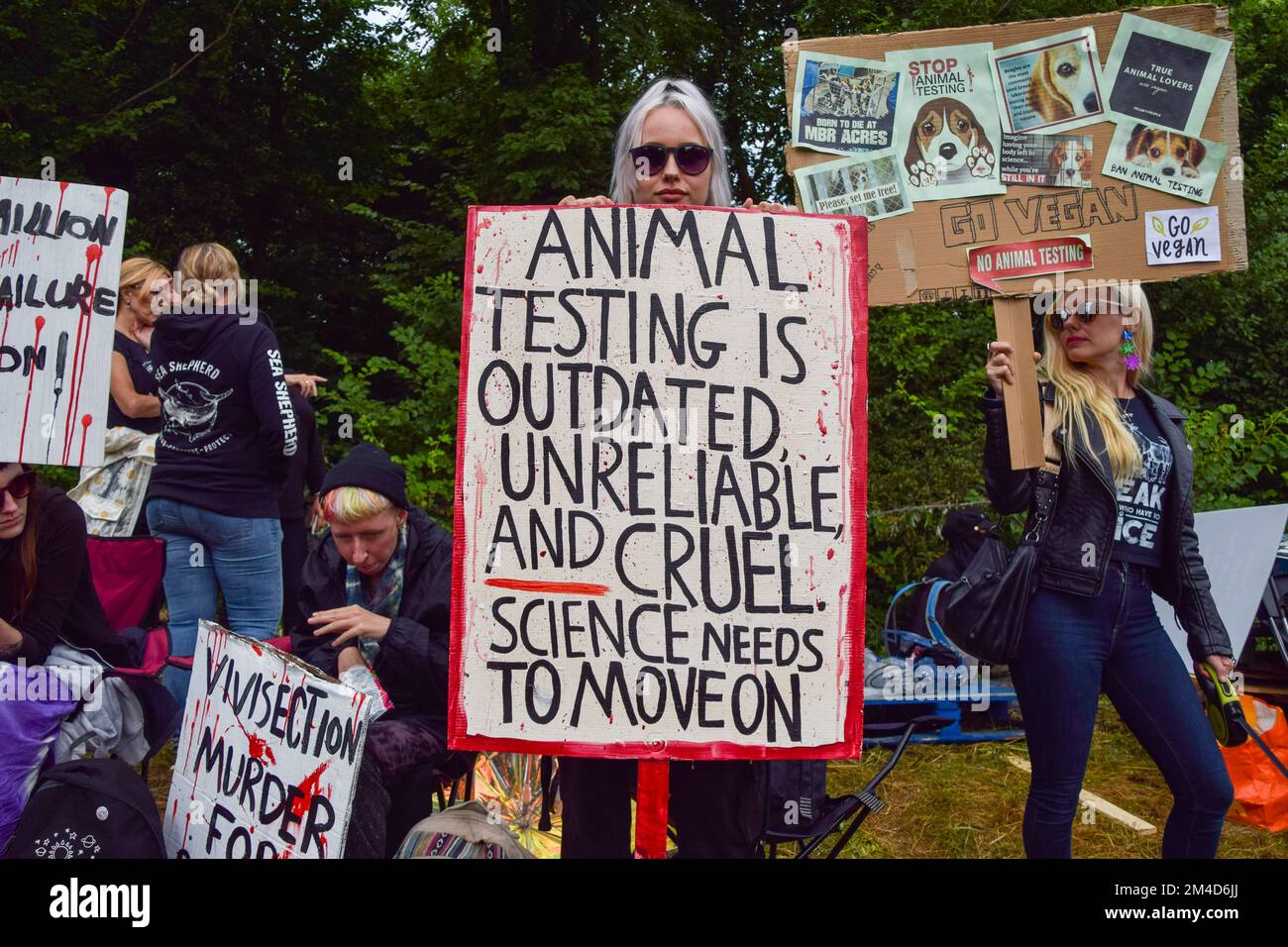 Dogs animal cruelty laboratory hi-res stock photography and images - Alamy