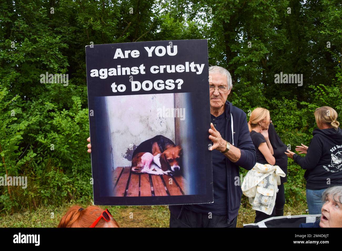 Mbr beagle breeding hi-res stock photography and images - Alamy