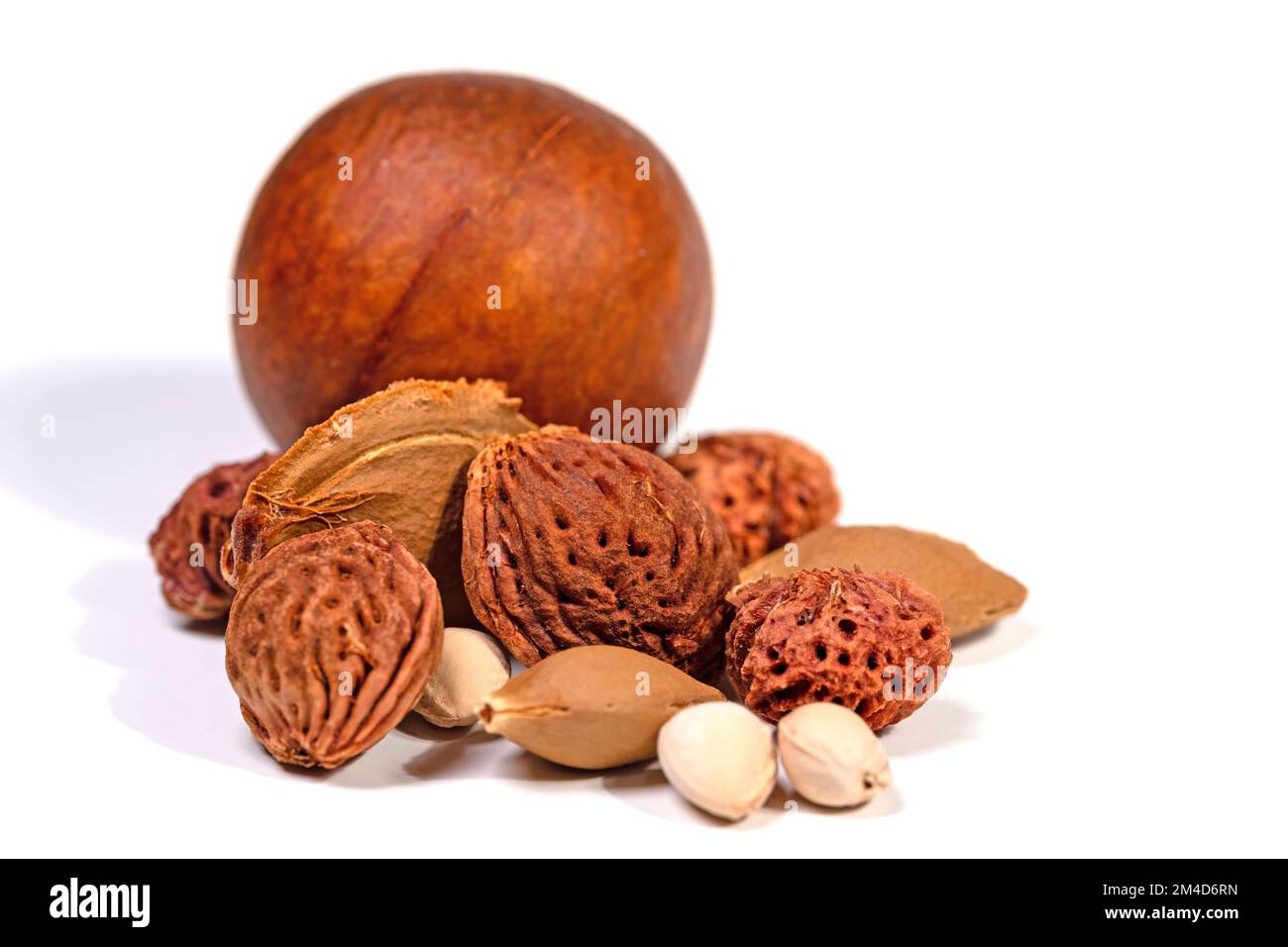 Kernels of different types of stone fruit Stock Photo - Alamy