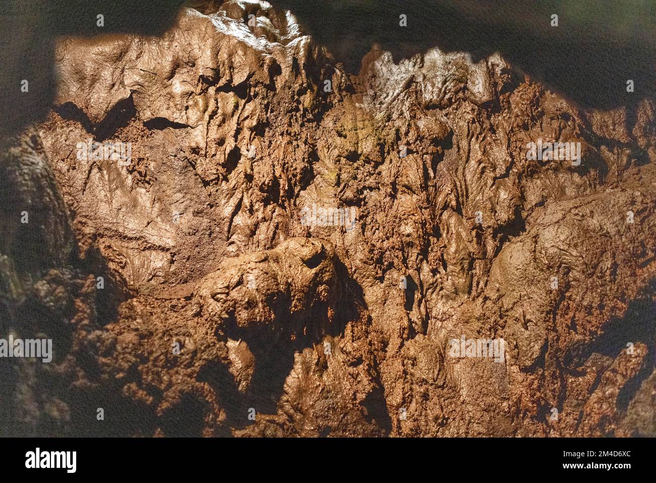 Exploring a volcanic cave in the Volcanic Caves Park at the foot of ...