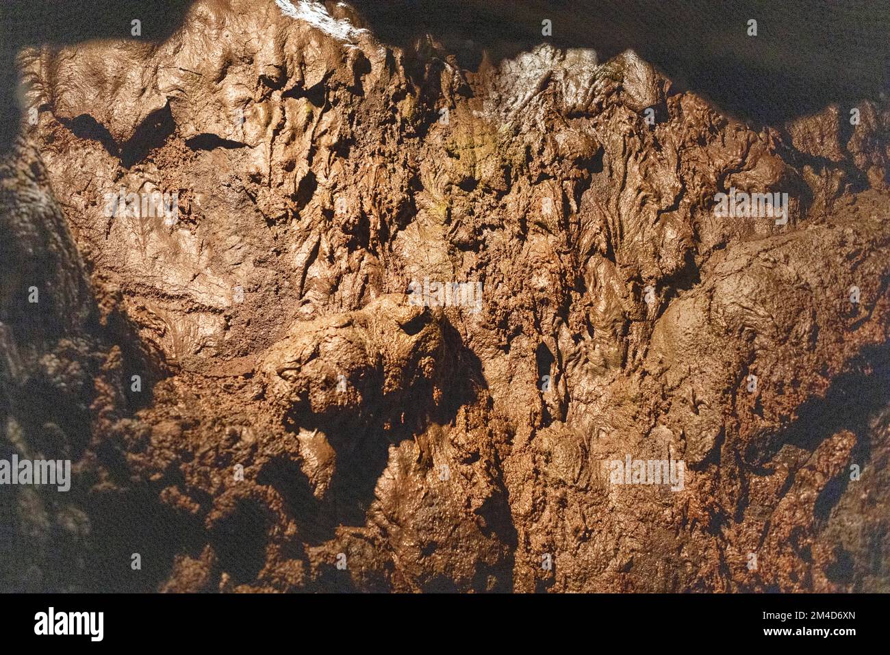 Exploring a volcanic cave in the Volcanic Caves Park at the foot of ...