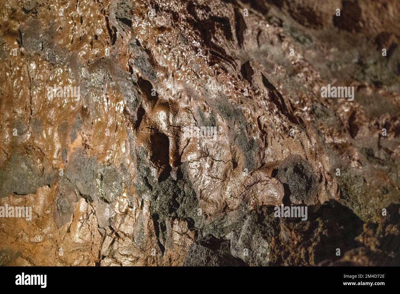 Exploring a volcanic cave in the Volcanic Caves Park at the foot of ...