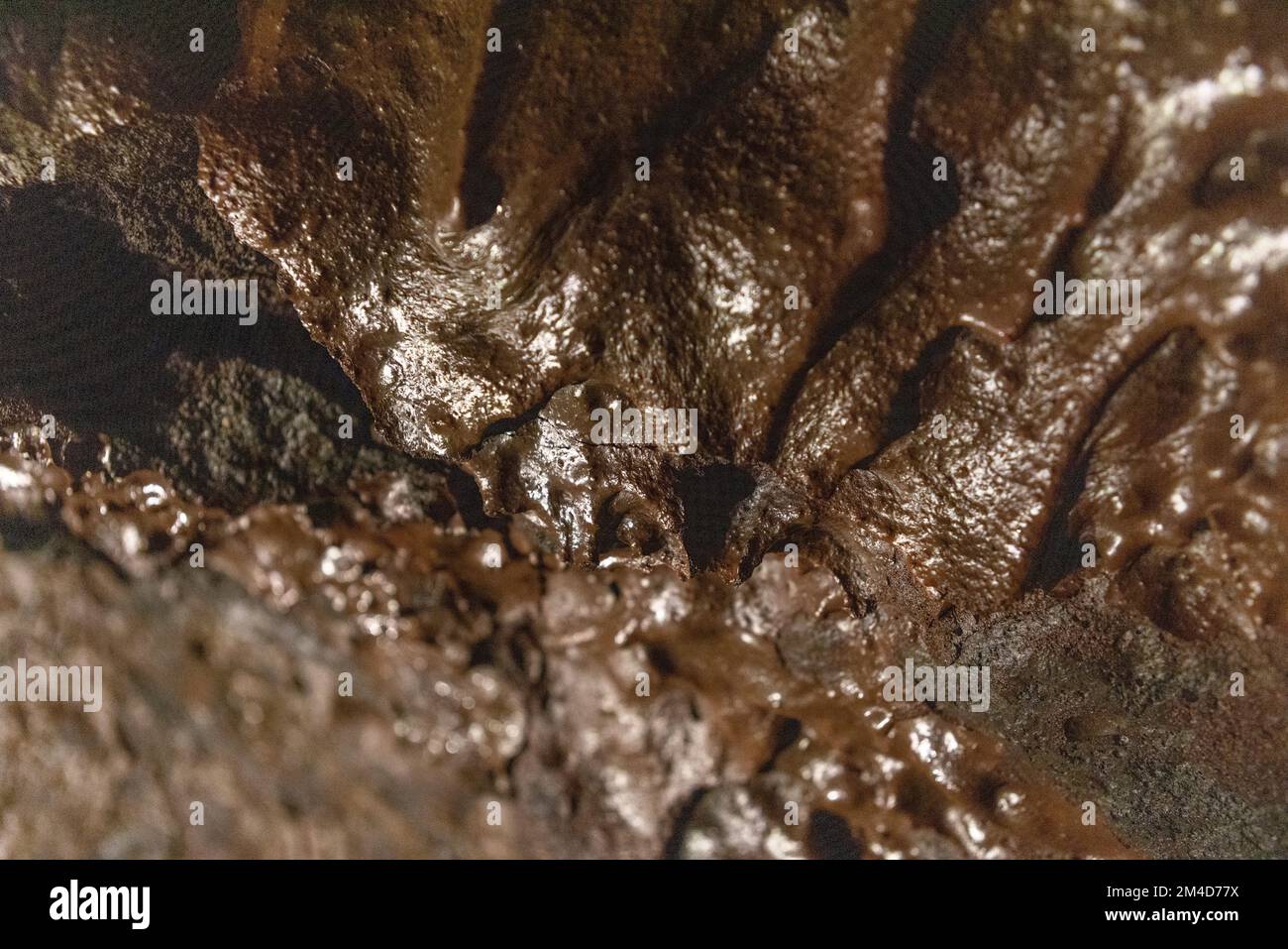 Exploring a volcanic cave in the Volcanic Caves Park at the foot of ...