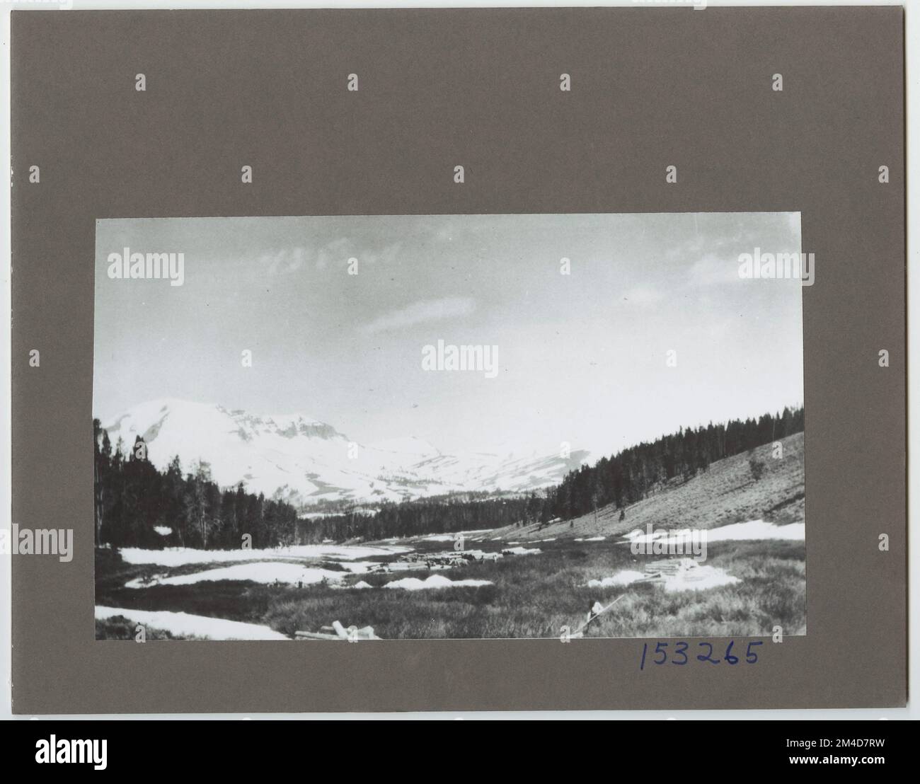 Large Sawmills - Alabama. Photographs Relating to National Forests ...