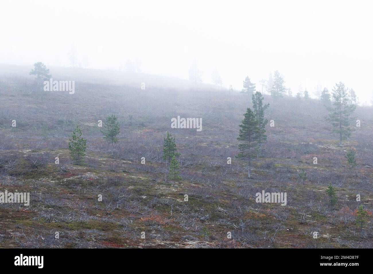 Finland scenery hi-res stock photography and images - Alamy