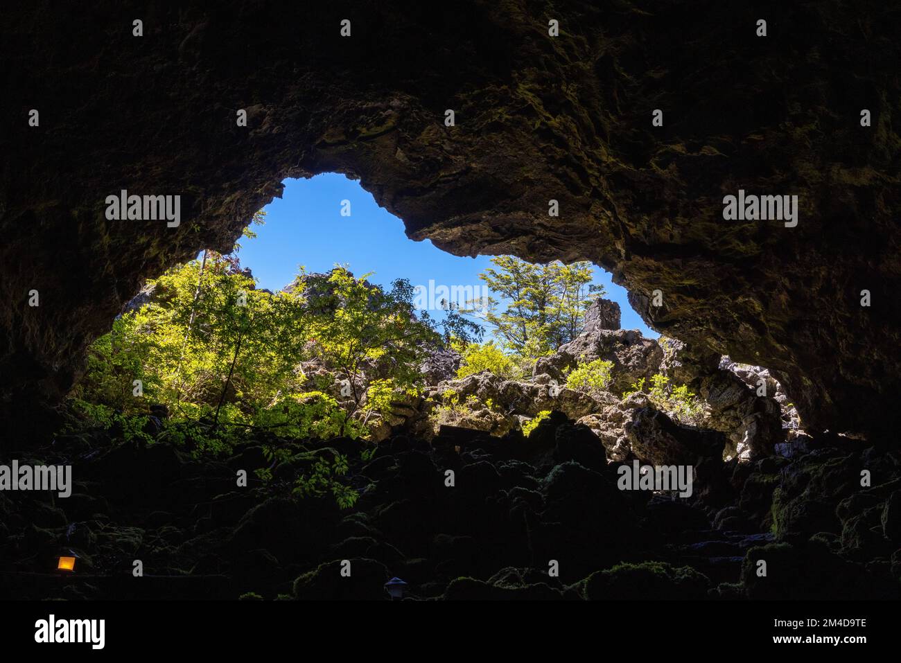 Entrance of a volcanic cave in the Volcanic Caves Park at the foot of ...