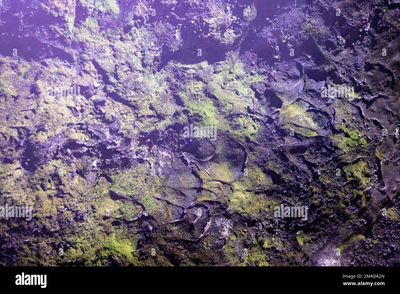 Exploring a volcanic cave in the Volcanic Caves Park at the foot of ...