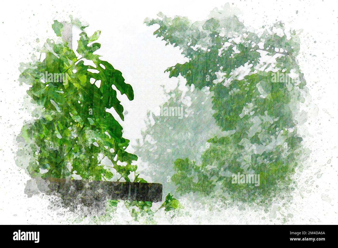 Trees fog weather Cut Out Stock Images & Pictures - Alamy