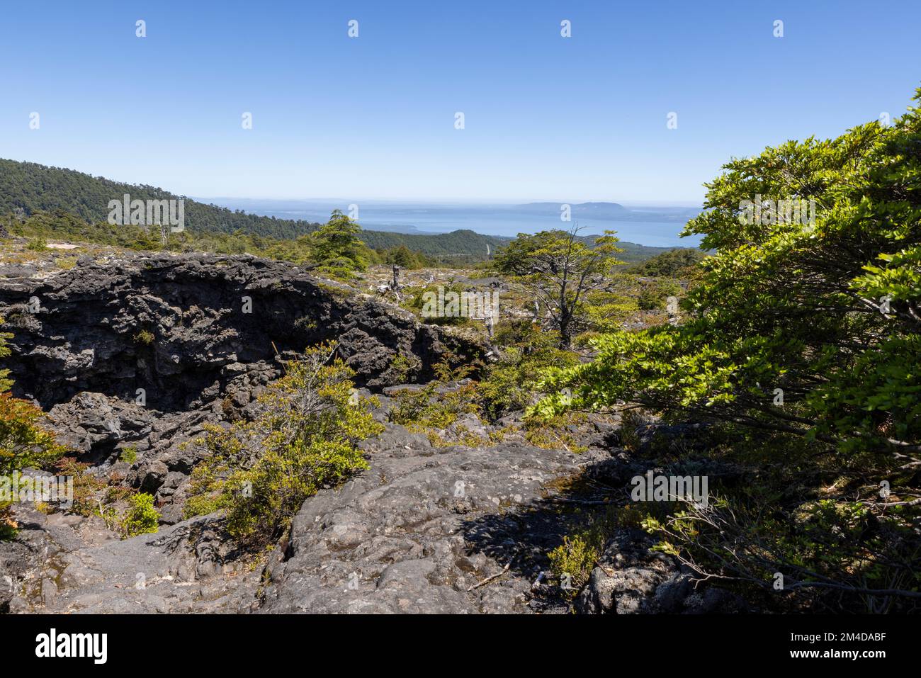 View from the Volcanic Caves Park (at the foot of Villarrica volcano ...