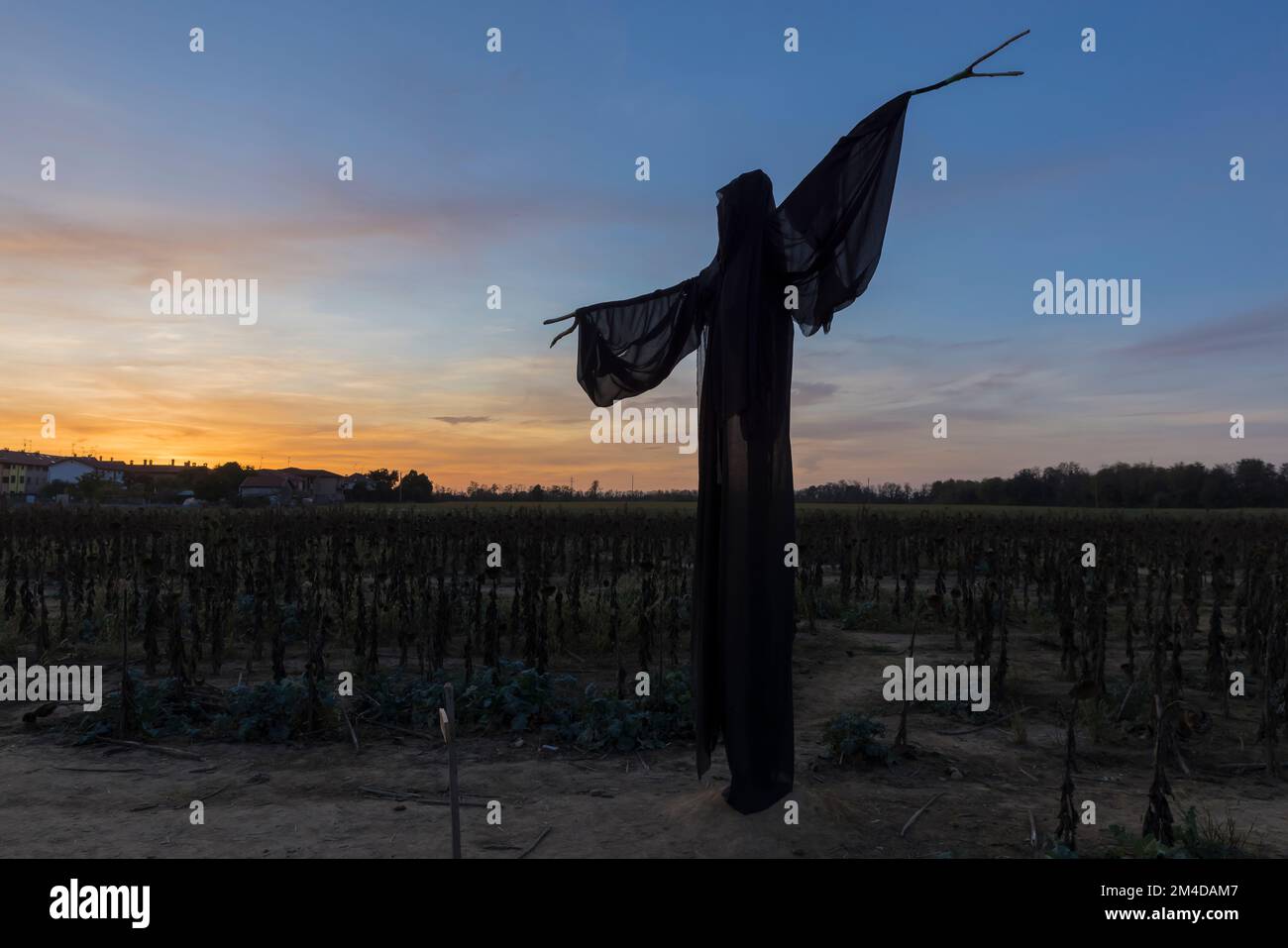 Ghost on a field during sunset, no people are visible Stock Photo - Alamy