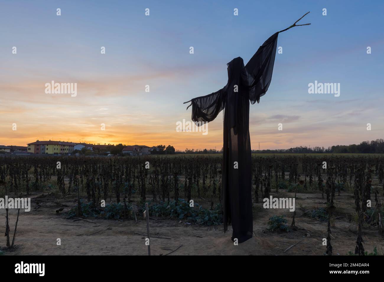 Ghost on a field during sunset, no people are visible Stock Photo - Alamy