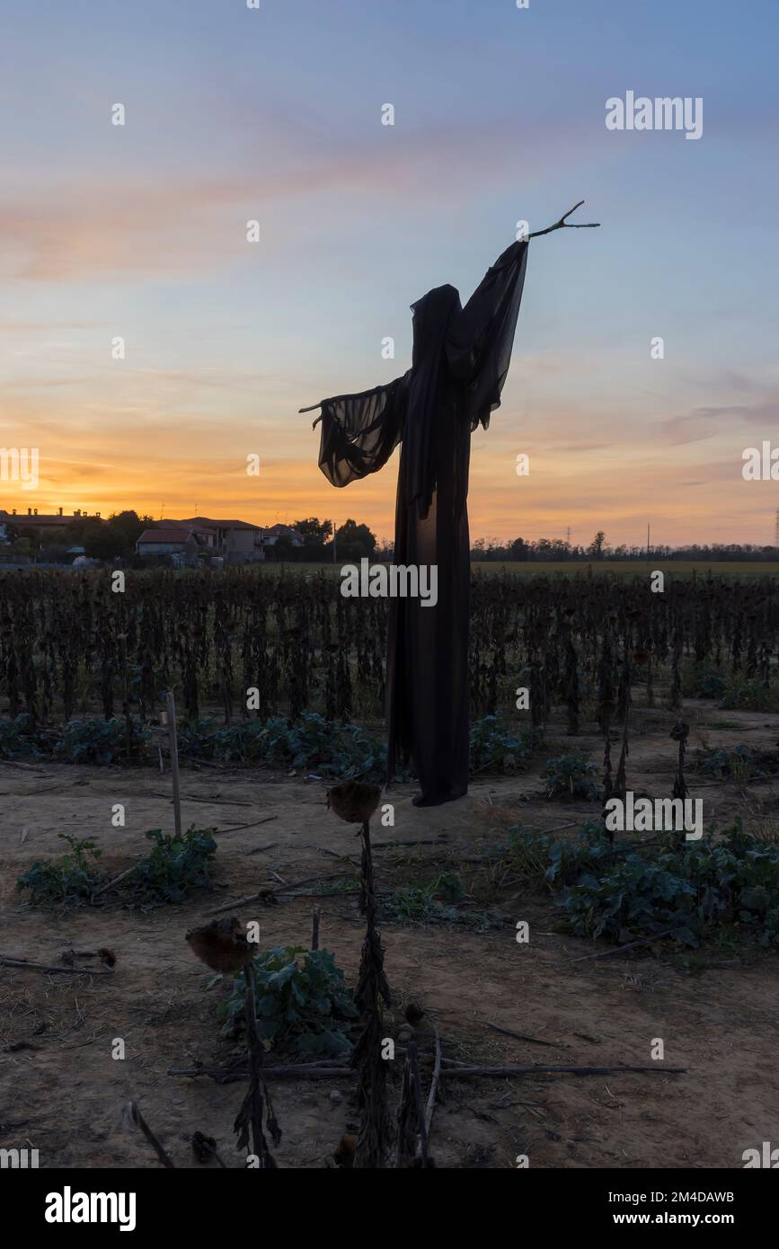 Ghost on a field during sunset, no people are visible Stock Photo - Alamy
