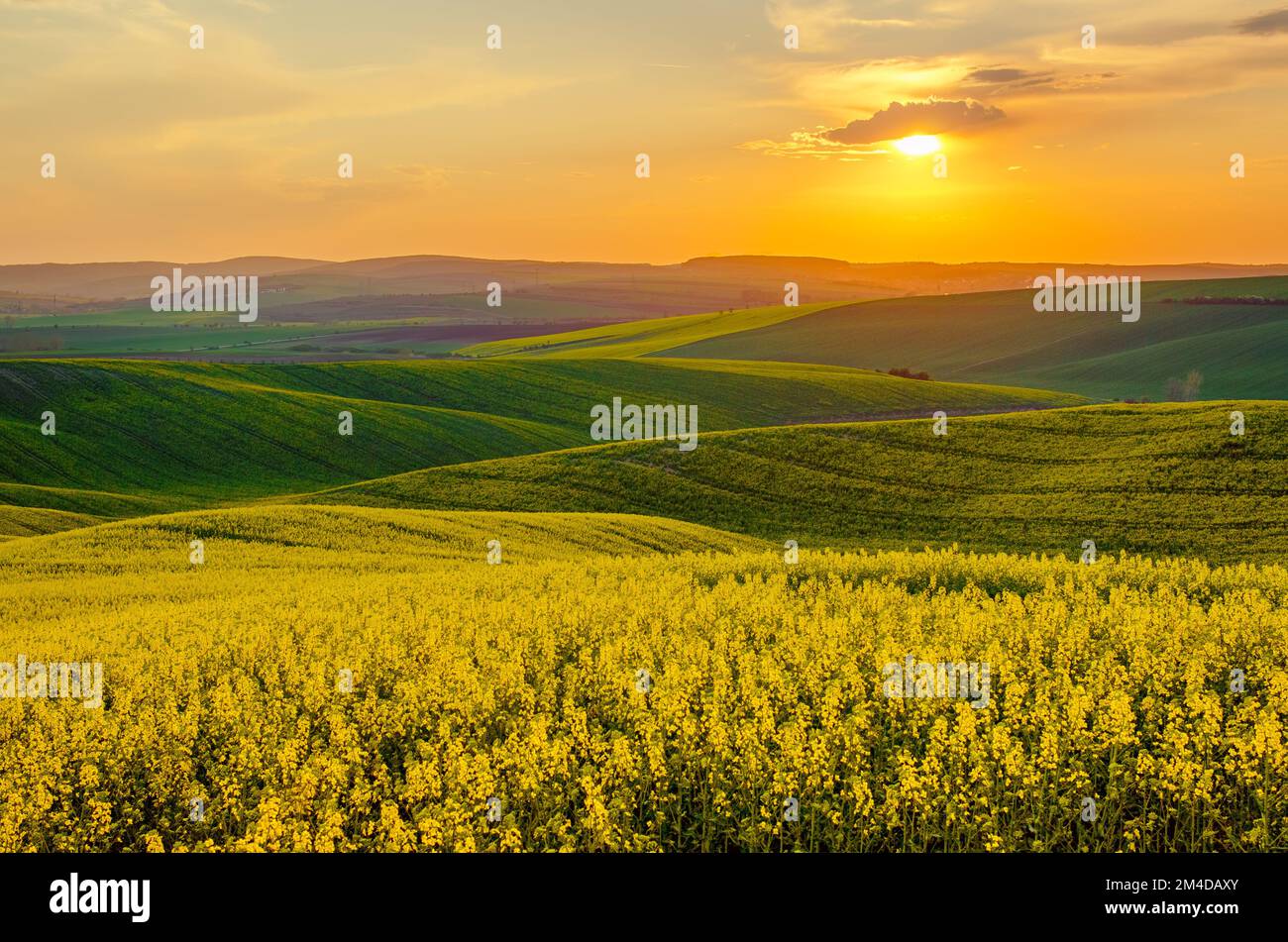 Rural spring landscape Stock Photo - Alamy