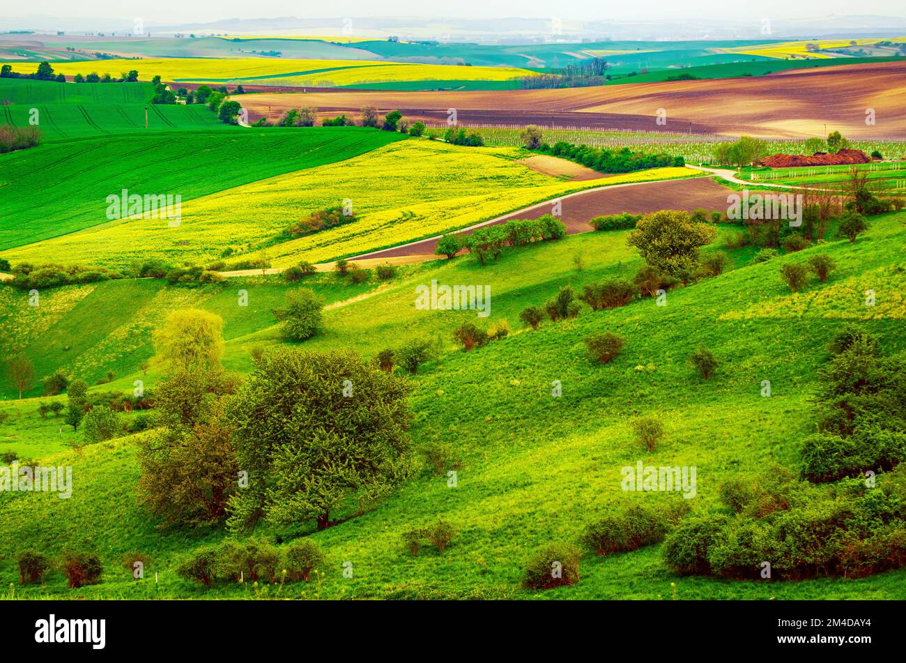 Rural spring landscape Stock Photo - Alamy