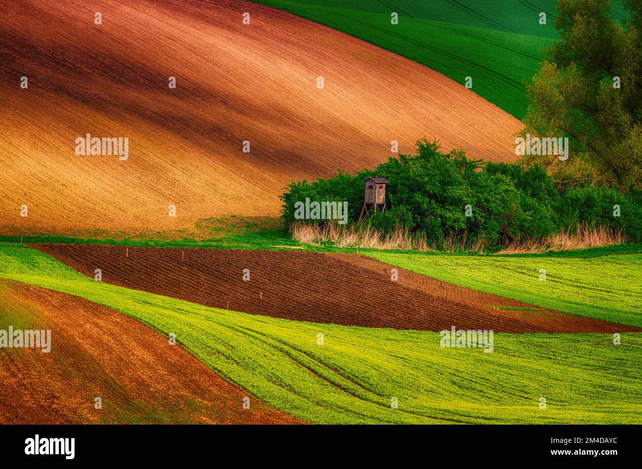 Rural spring landscape Stock Photo - Alamy