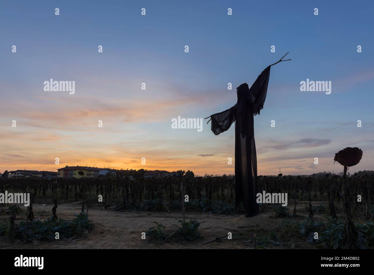 Ghost on a field during sunset, no people are visible Stock Photo - Alamy