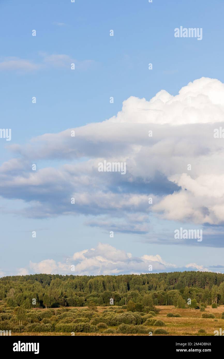 Rural landscape with forest under cloudy sky. Vertical photo Stock ...