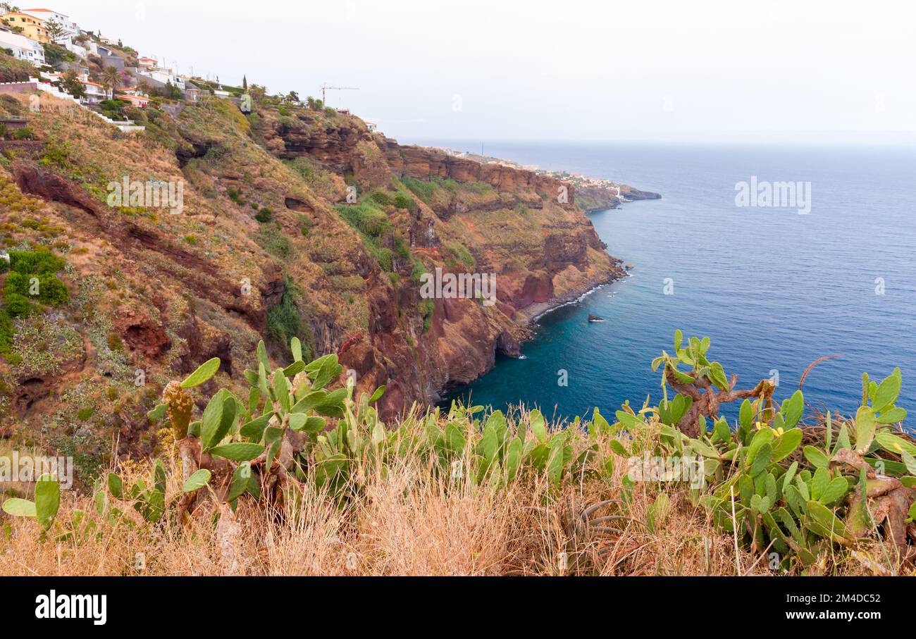 Portugal madeira island hi-res stock photography and images - Alamy