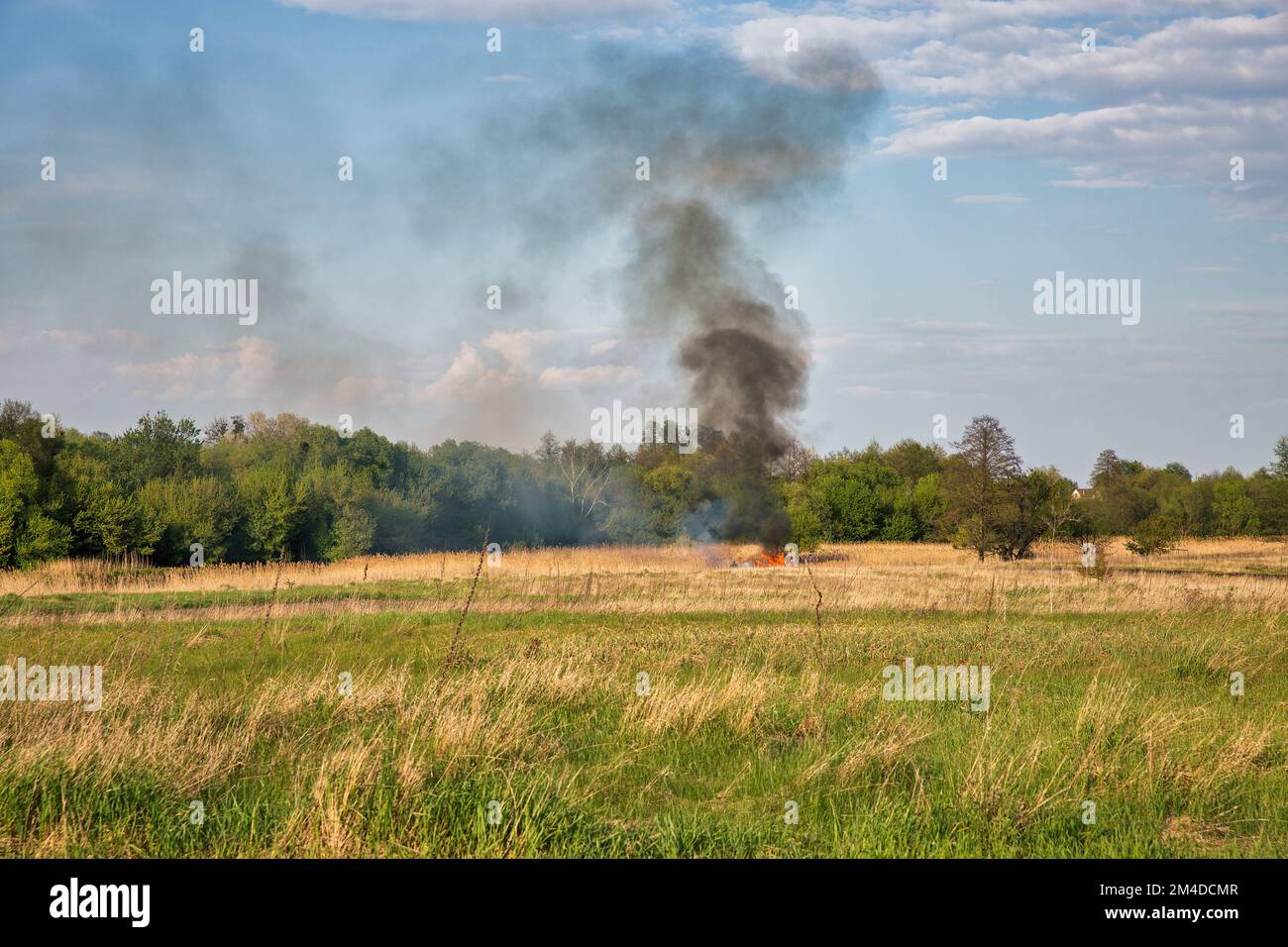 People burn a huge fire in the field at sunny day Stock Photo - Alamy