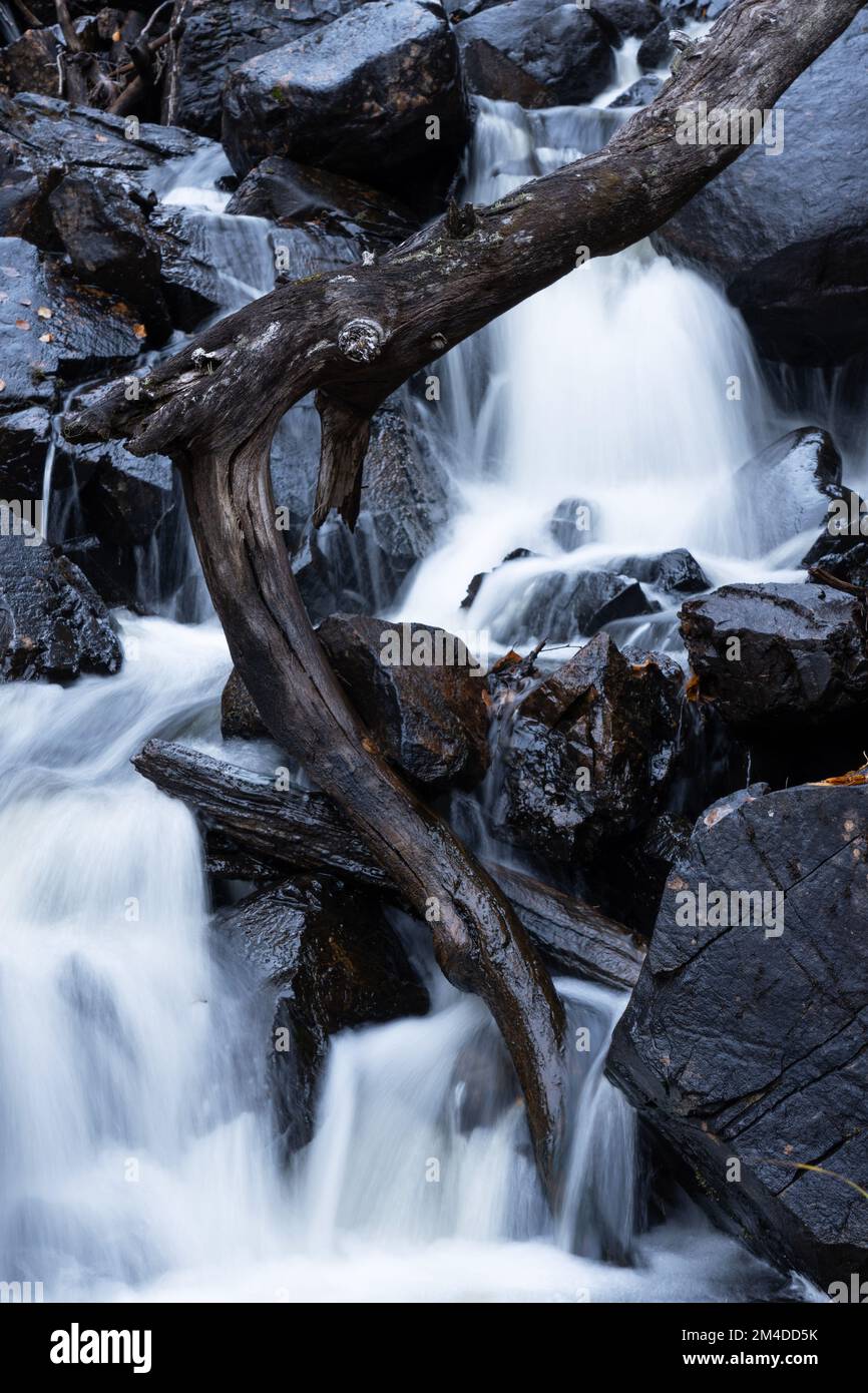 Water flowing in Saaripuron waterfall in the middle of lush taiga ...