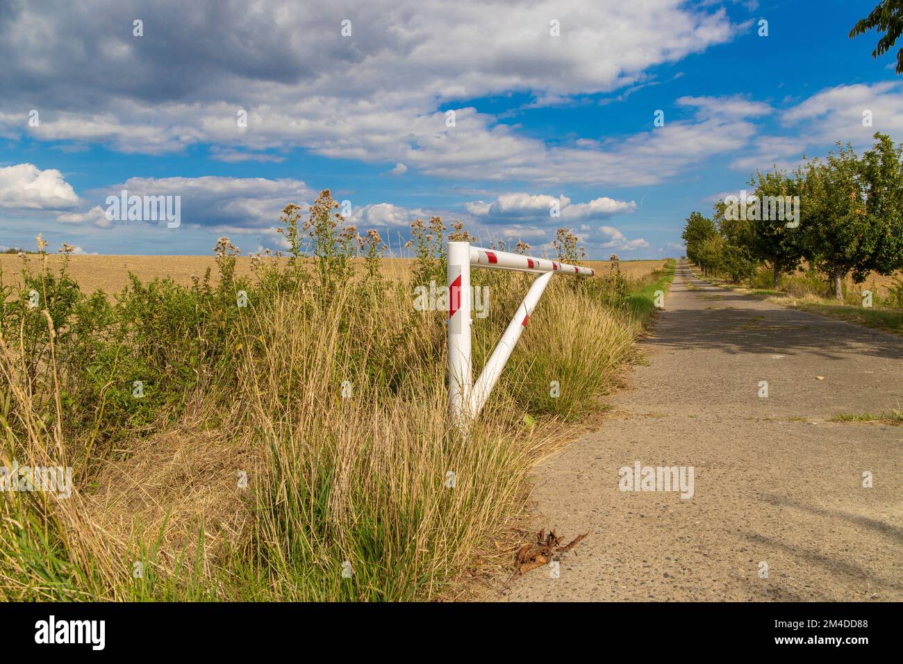 Dirt road with a traffic barrier and apple trees on the way away. High ...