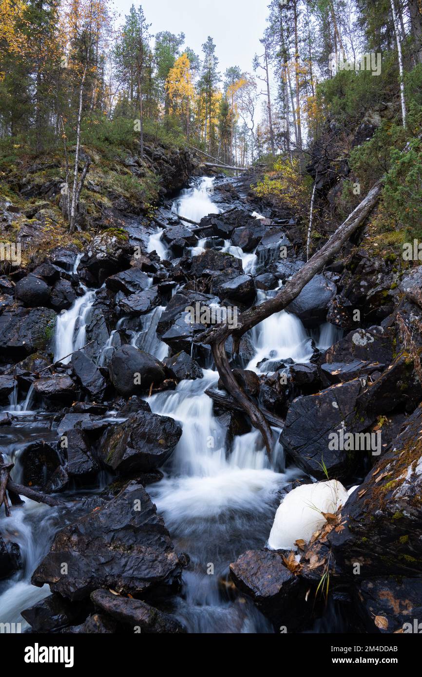 Water flowing in Saaripuron waterfall in the middle of lush taiga ...