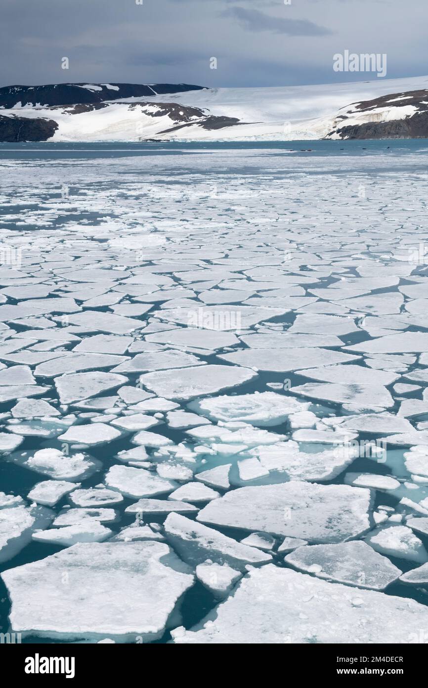 Antarctica, Pitt Point. Broken sea ice landscape Stock Photo - Alamy