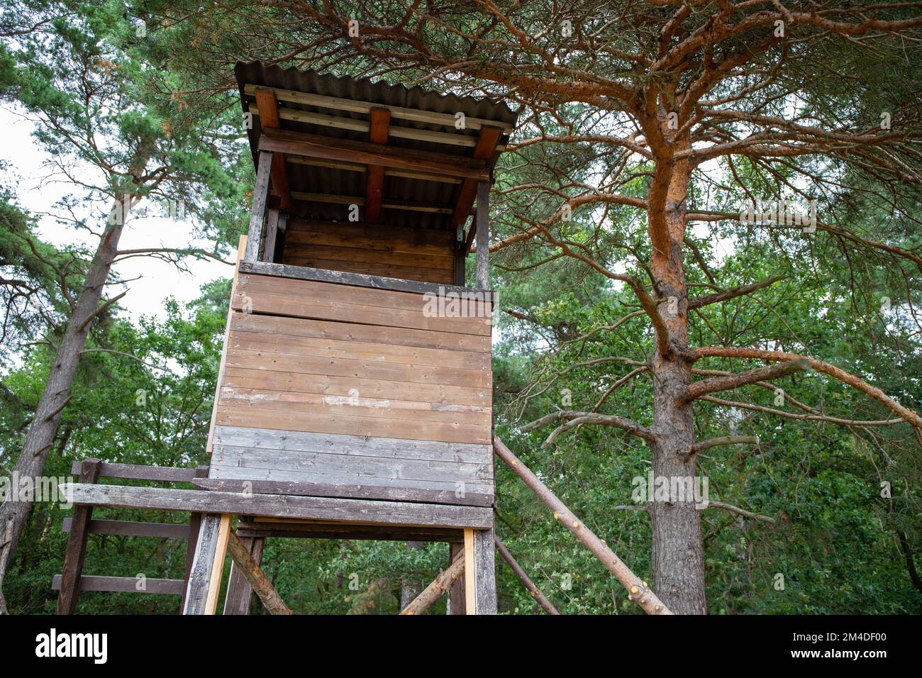 Hunter wood hi-res stock photography and images - Alamy