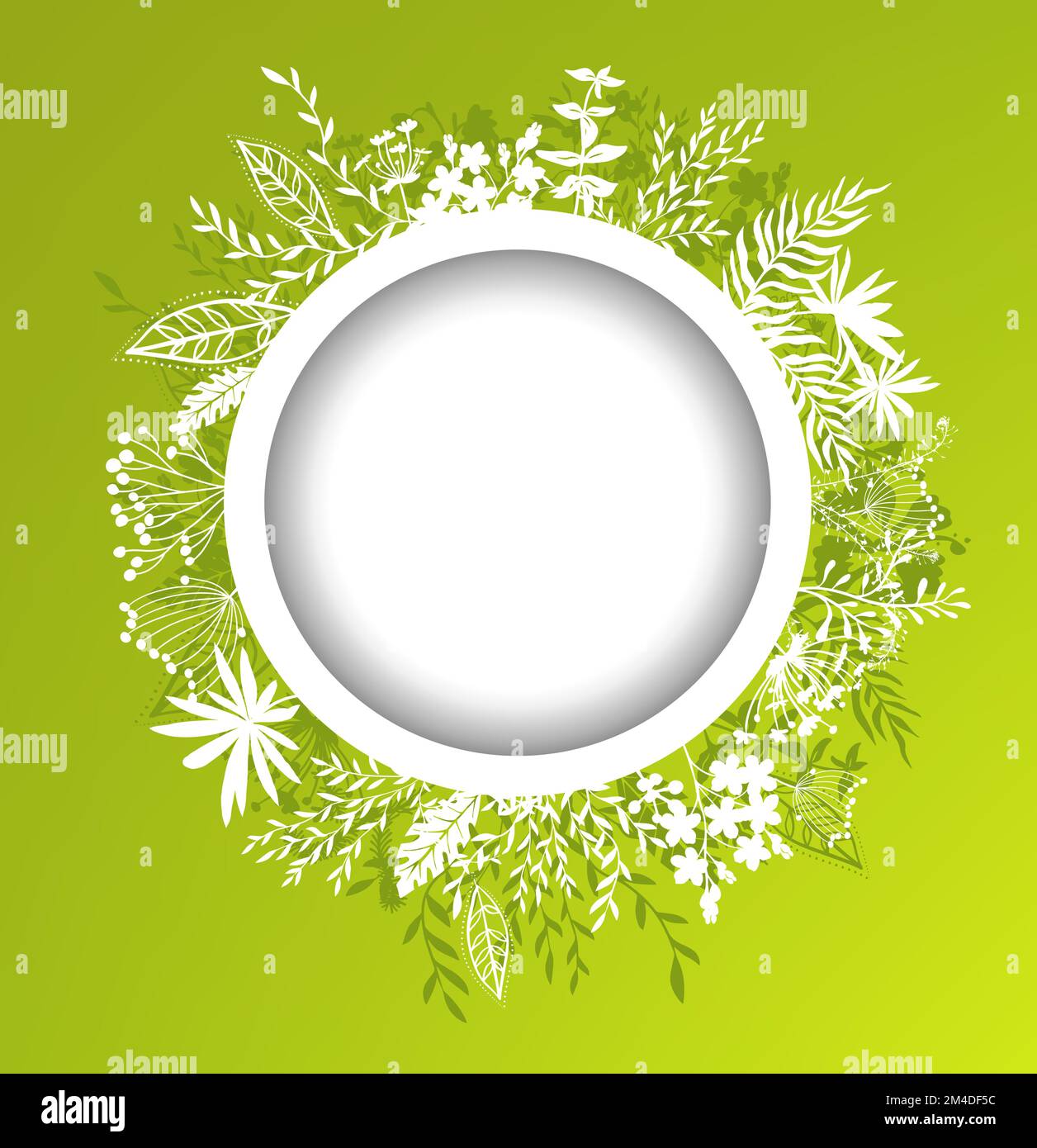 summer spring green leaves branches twigs plants foliage greenery round ...