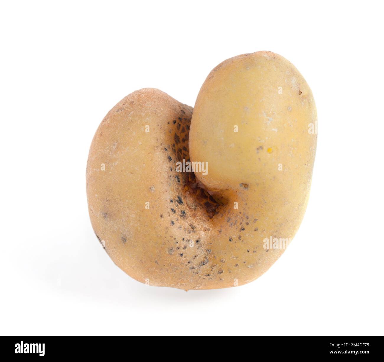 Deformed shape form hi-res stock photography and images - Alamy
