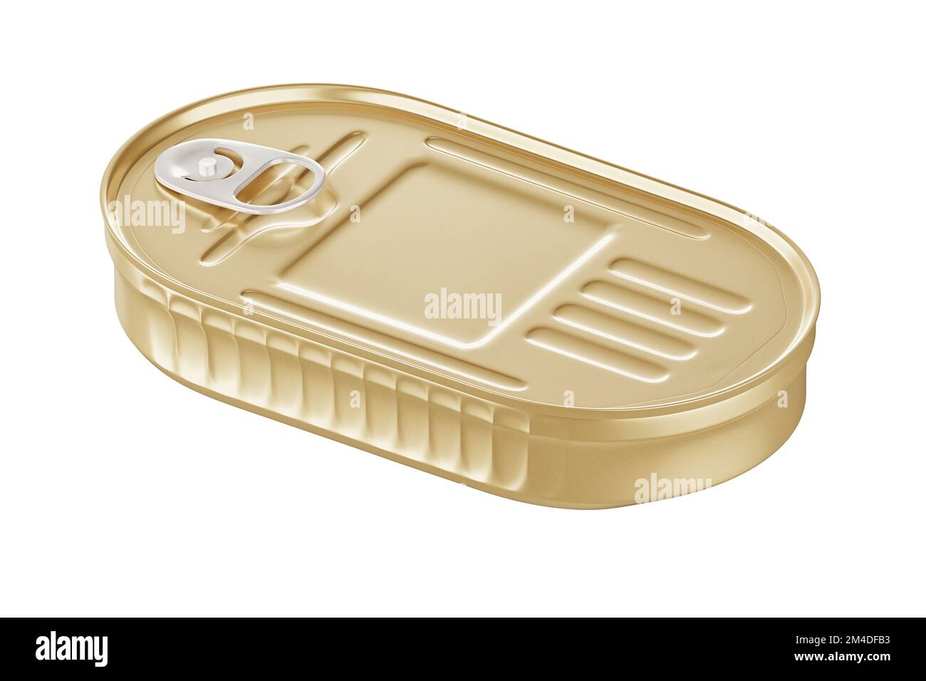 Tin can for new design with text, 3d rendering, template, view of fish ...