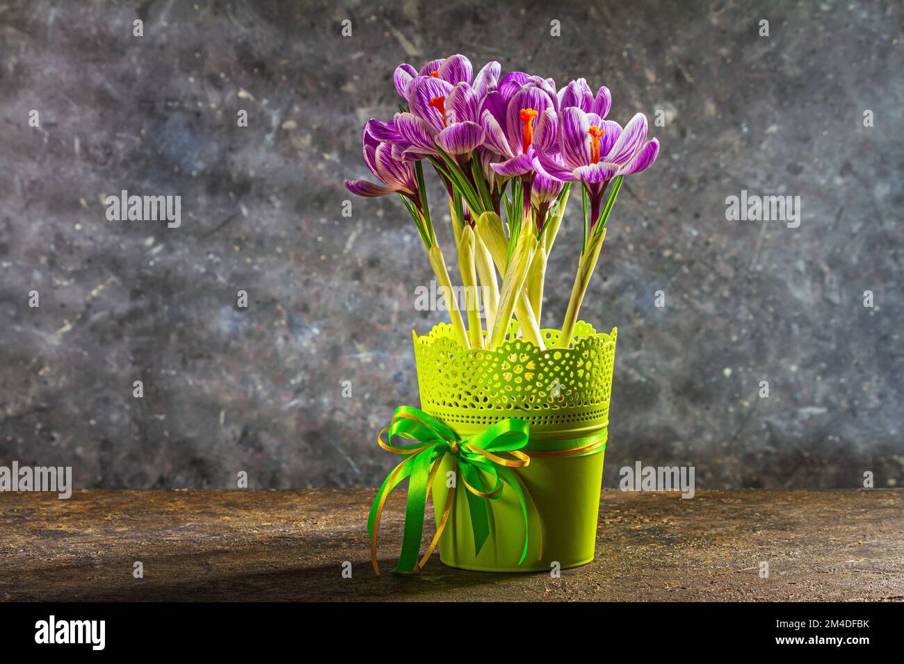Fresh spring flowers crocuses in flowerpot, closeup with space for text ...