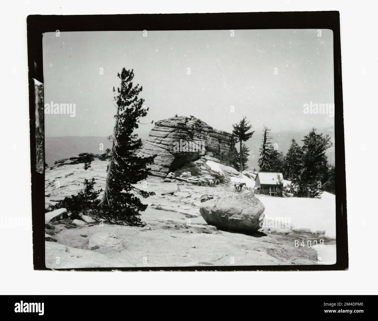 Insects and pollinators Cut Out Stock Images & Pictures - Alamy