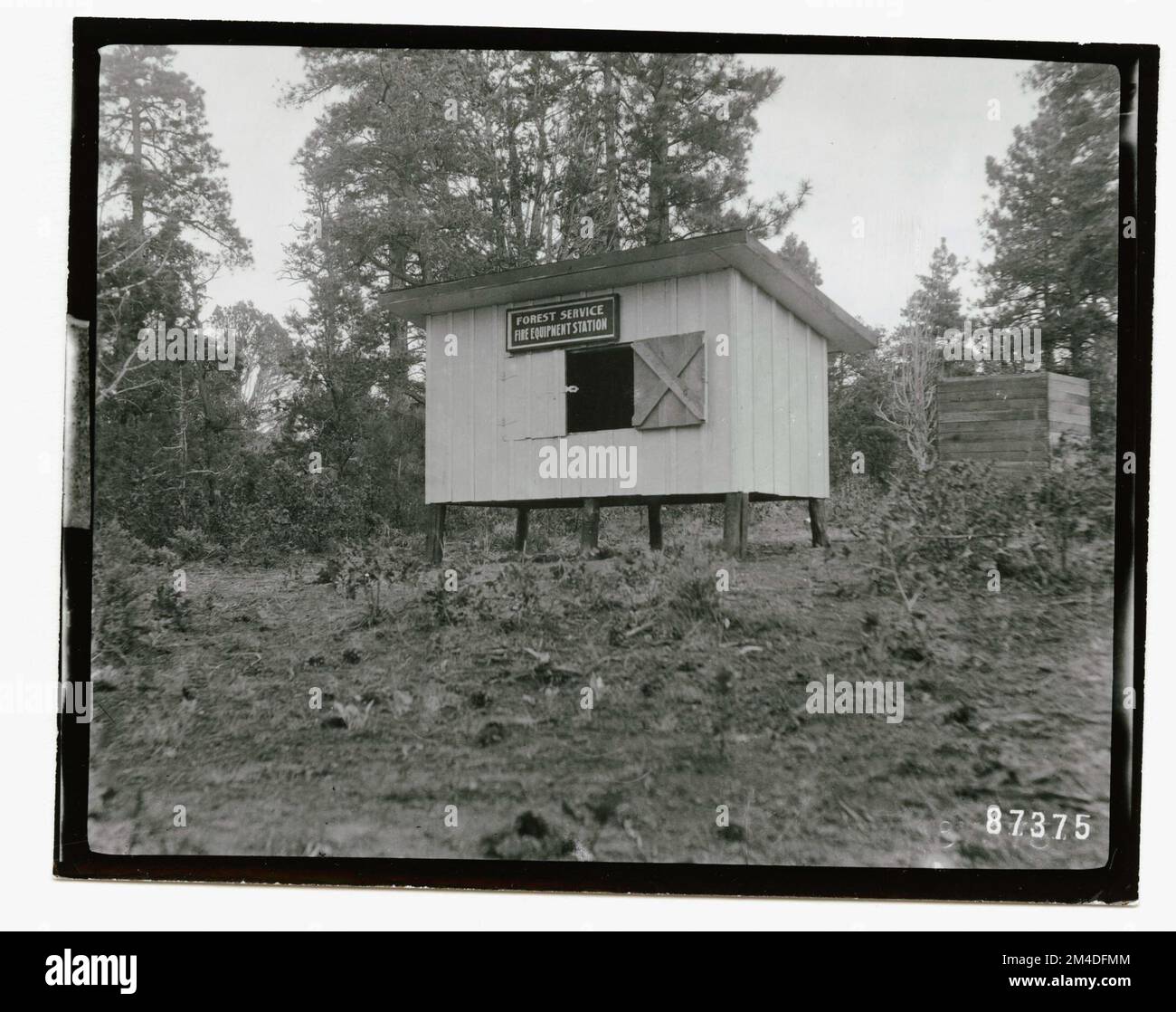 Forest Insects - General. Photographs Relating to National Forests ...