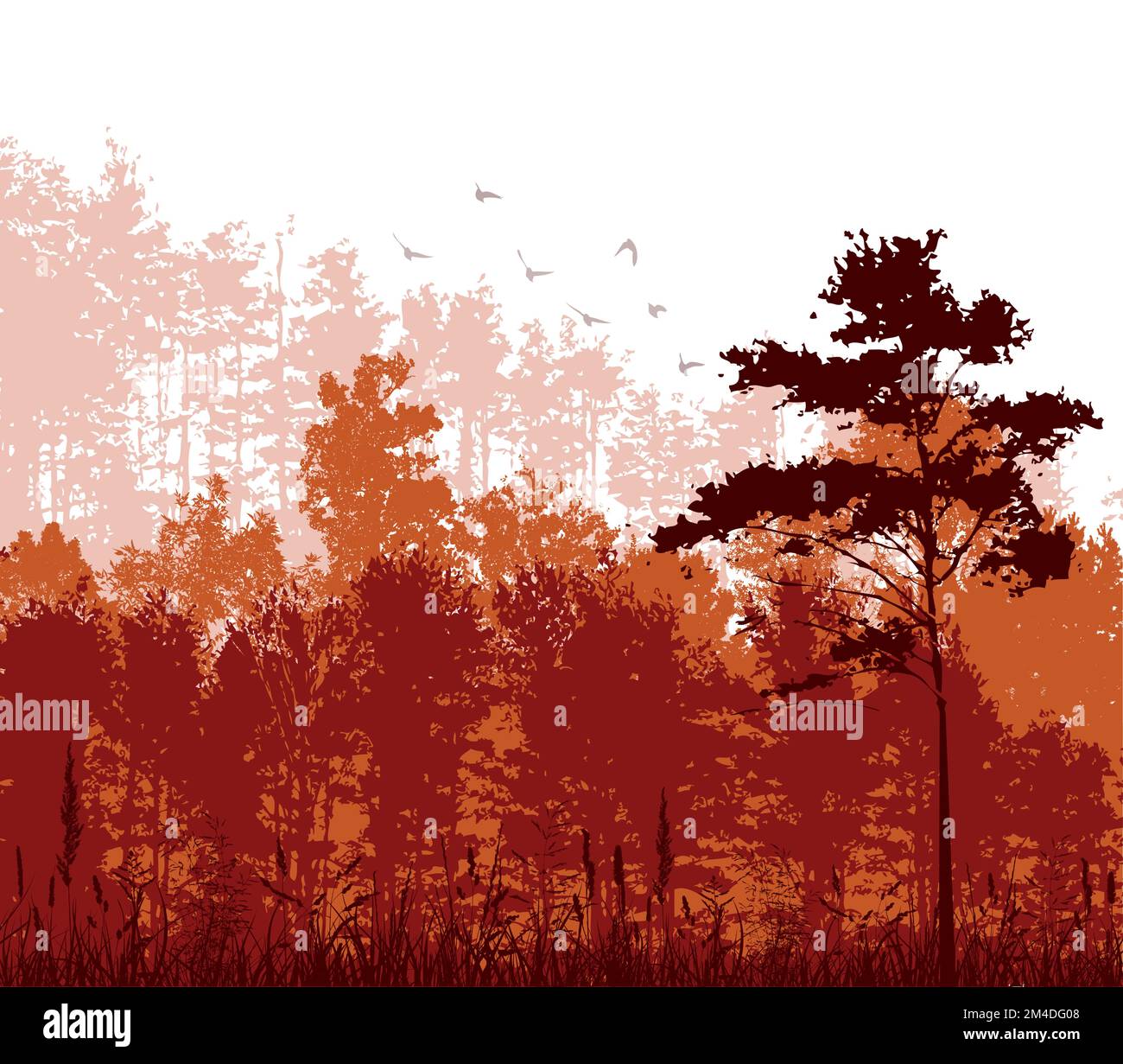 Autumn landscape with orange trees. Vector illustration Stock Vector ...