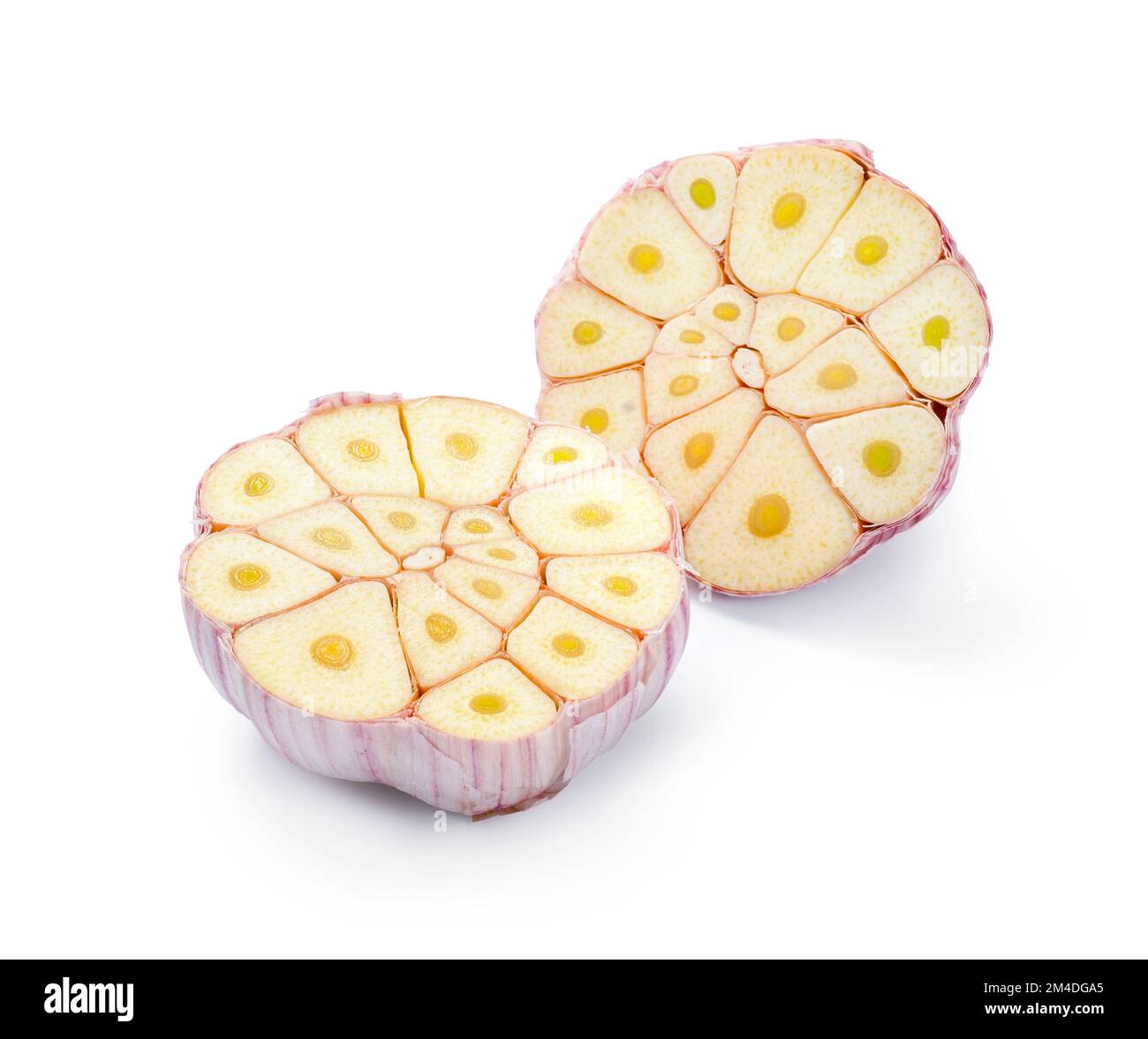 Two half of garlic isolated. Fresh garlic on white background Stock ...