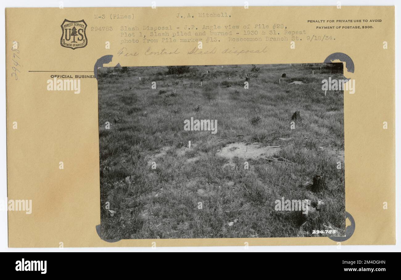 Fire Prevention - Slash Disposal. Photographs Relating to National ...