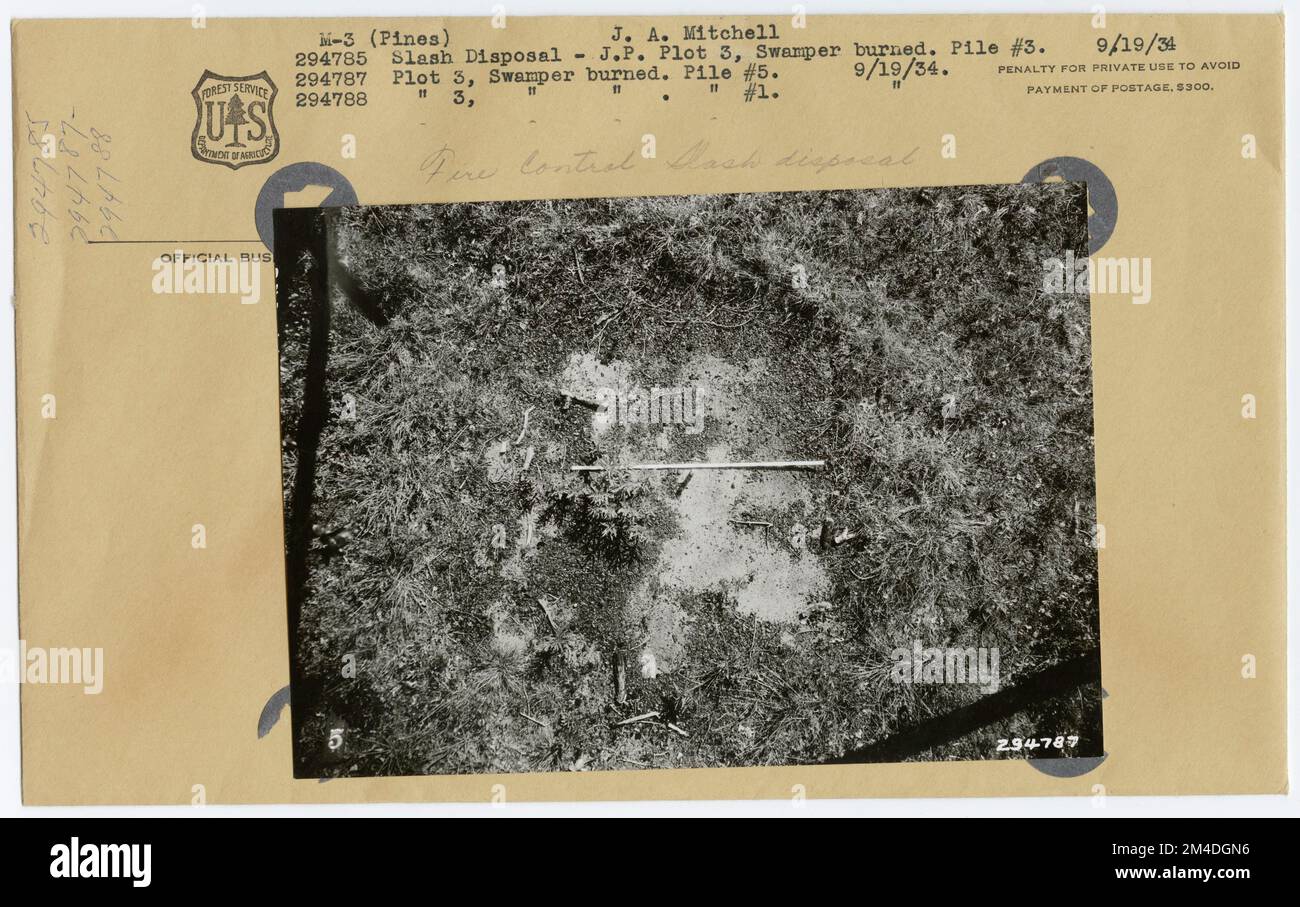 Fire Prevention - Slash Disposal. Photographs Relating to National ...