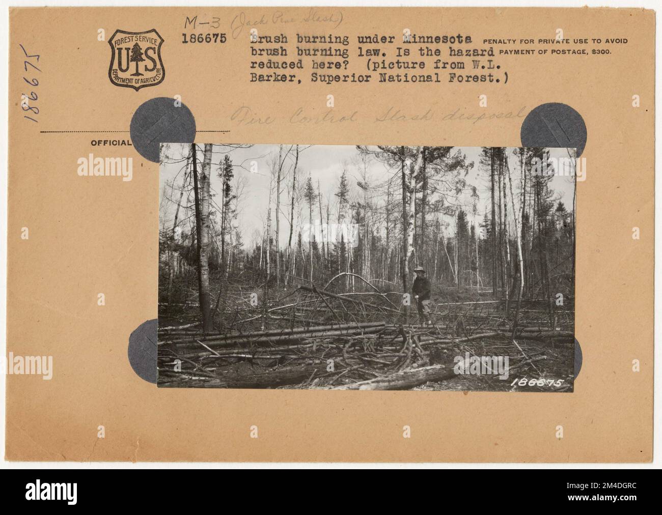 Fire Prevention - Slash Disposal. Photographs Relating to National ...