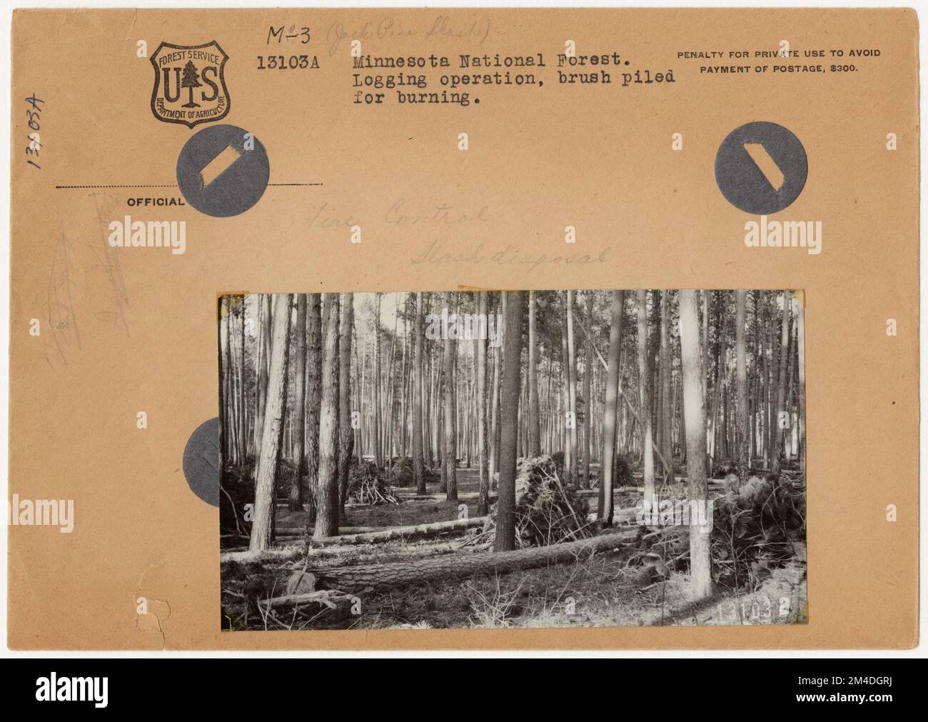 Fire Prevention - Slash Disposal. Photographs Relating to National ...