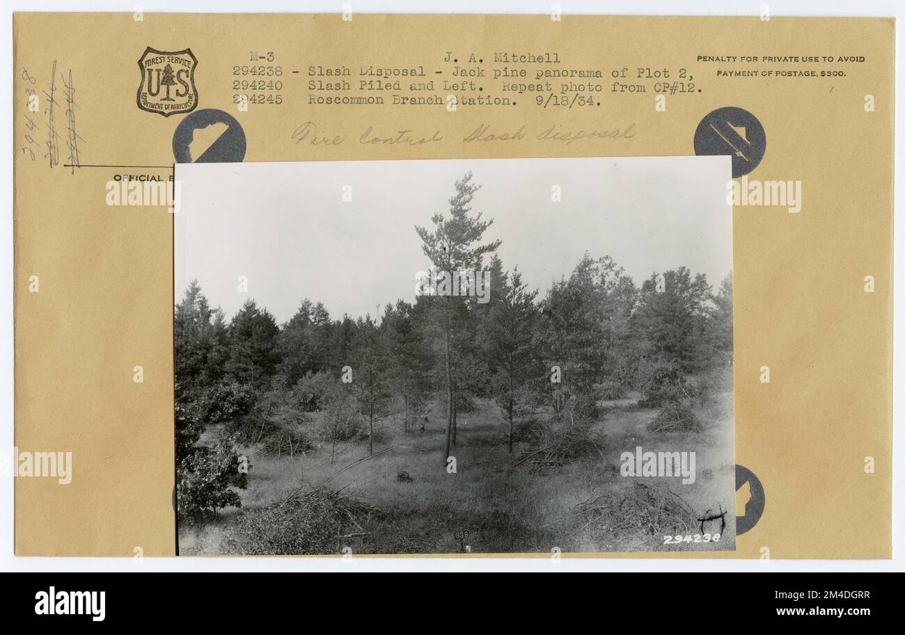 Fire Prevention - Slash Disposal. Photographs Relating to National ...