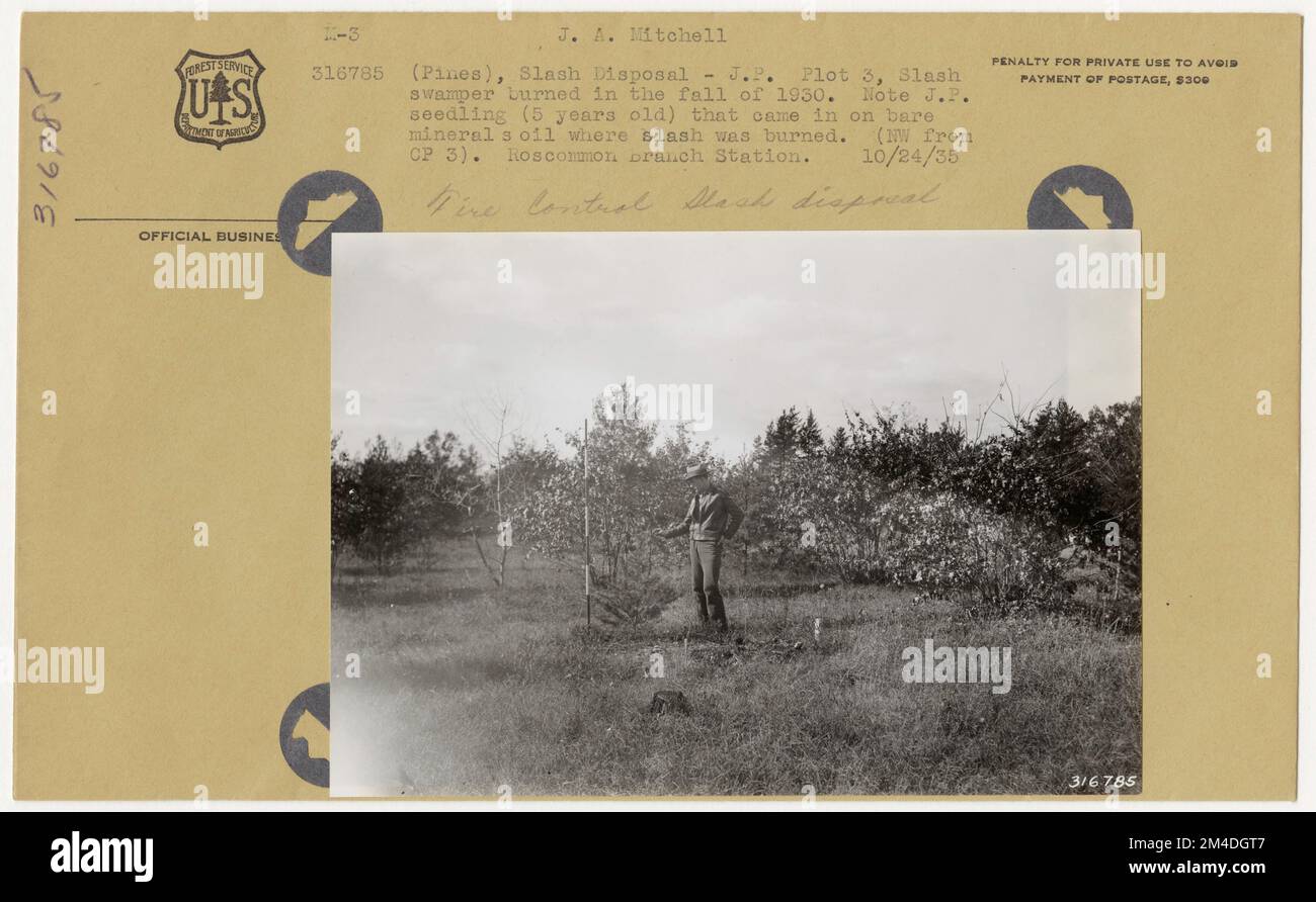 Fire Prevention - Slash Disposal. Photographs Relating to National ...