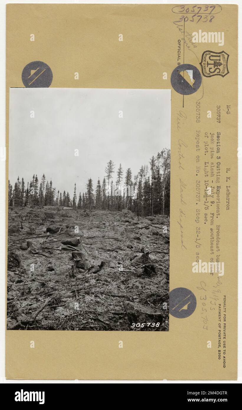 Fire Prevention - Slash Disposal. Photographs Relating to National ...