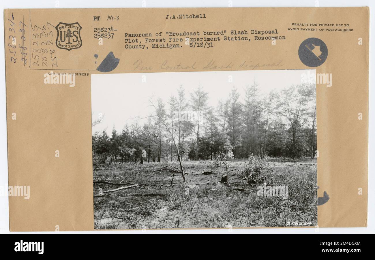 Fire Prevention - Slash Disposal. Photographs Relating to National ...