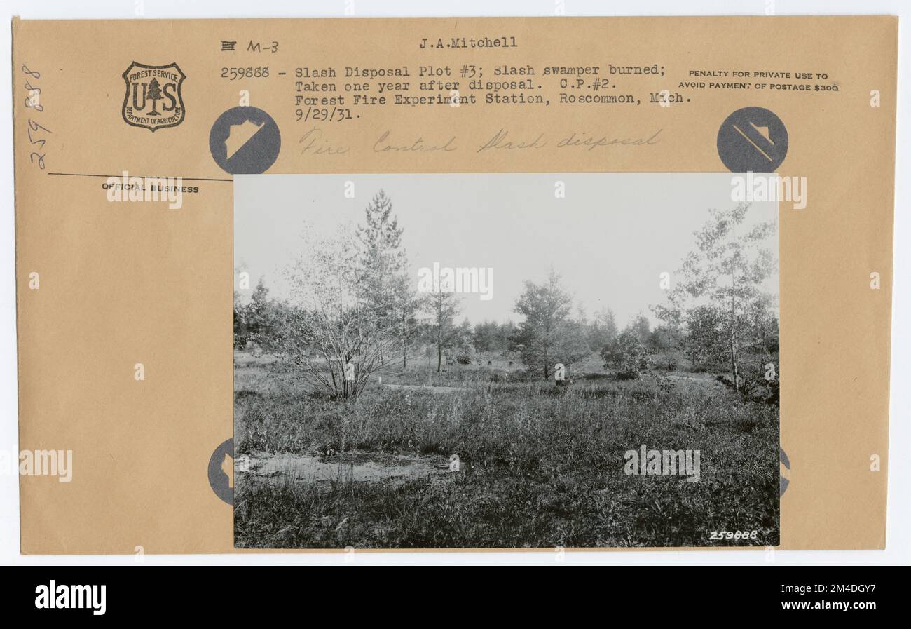 Fire Prevention - Slash Disposal. Photographs Relating to National ...